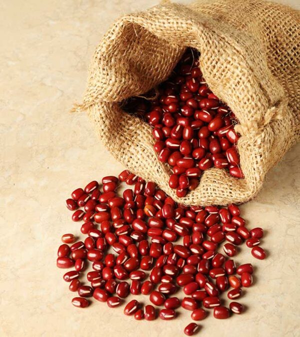 Azuki Beans (Red Chori) - International Wholesale Spices and Food Supplier